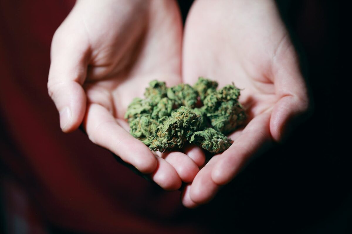 Panaxia Pharma CEO 'thrilled' as medical cannabis products made in ...