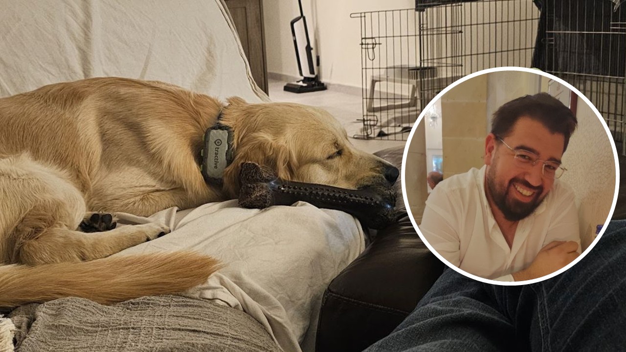 How a wagging tail became the best leadership coach for Betstarters ...